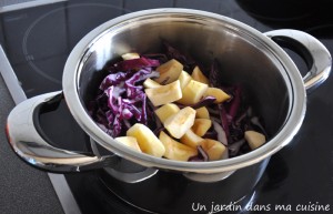 chou rouge aux pommes raisins secs - Un jardin dans ma cuisine