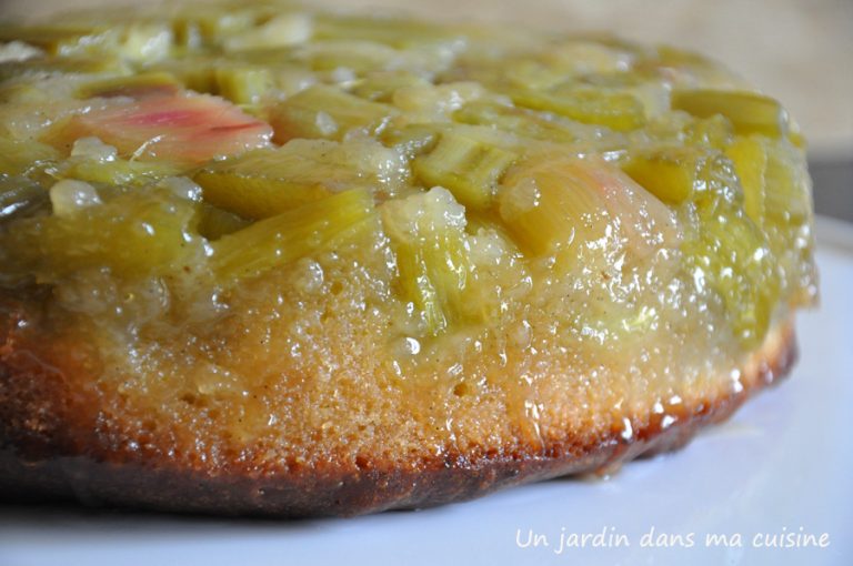 gâteau rhubarbe - Un jardin dans ma cuisine