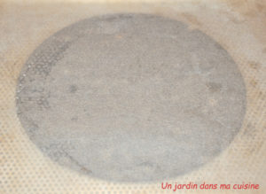 Pavlova fruits rouges - Un jardin dans ma cuisine