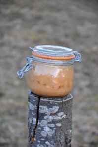 Compote de pommes en bocaux - Un jardin dans ma cuisine
